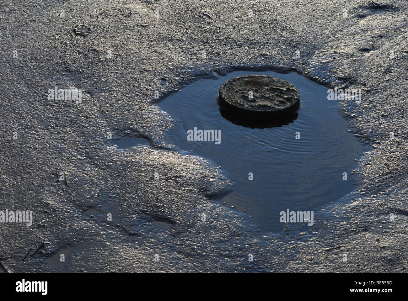Wet stones hi-res stock photography and images - Alamy