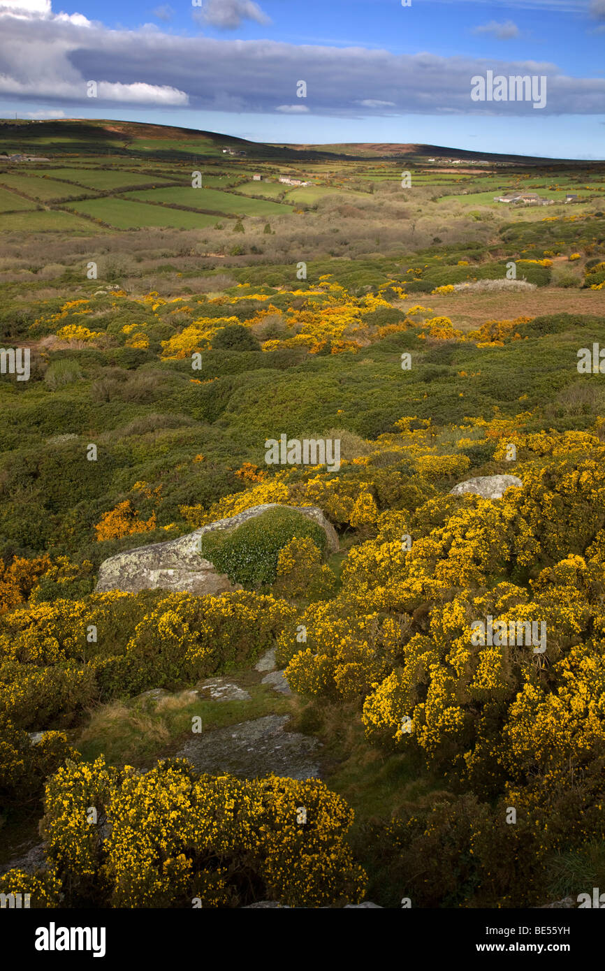 Penwith fields hi-res stock photography and images - Alamy