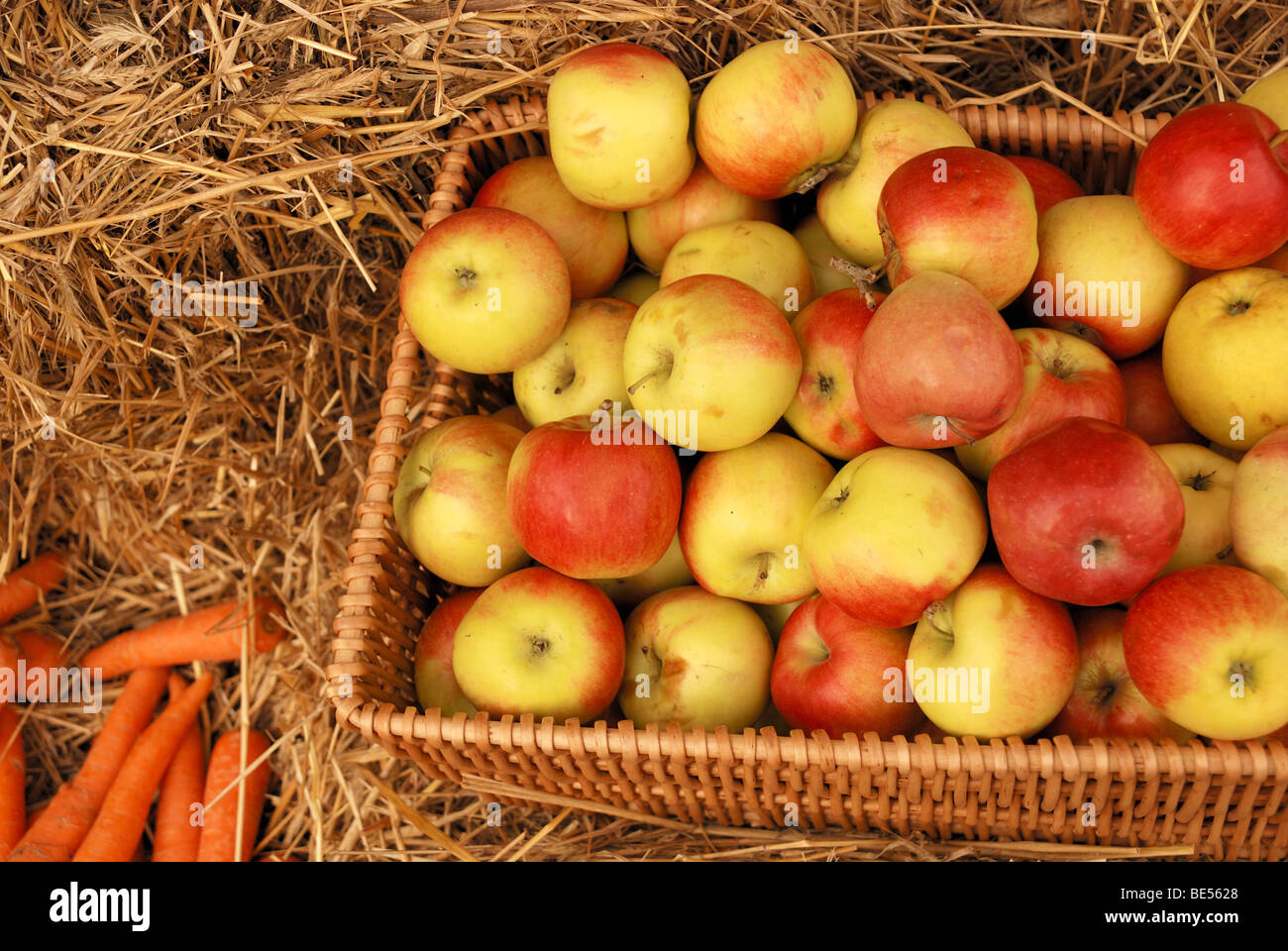 Pelf hi-res stock photography and images - Alamy