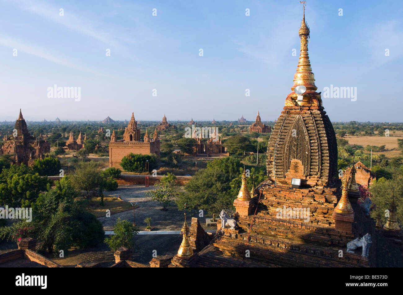 Pagoda Field, Dhammayazika Zedi Pagoda, Bagan, Pagan, Burma, Myanmar ...