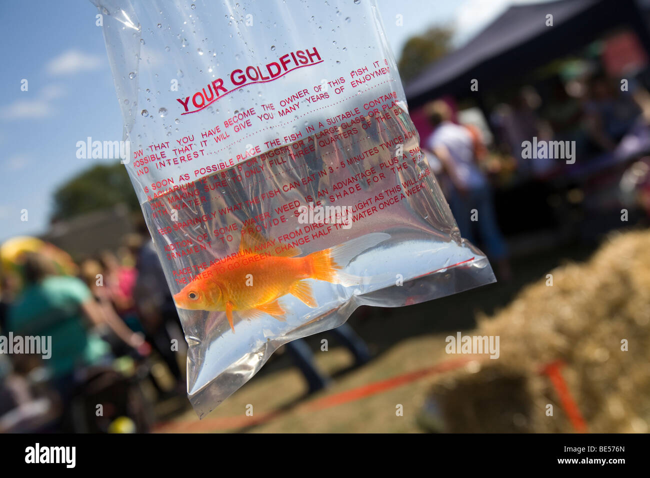Goldfish bag hi-res stock photography and images - Alamy