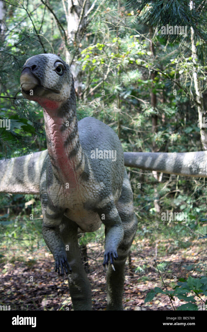 Dryosaurus hi-res stock photography and images - Alamy