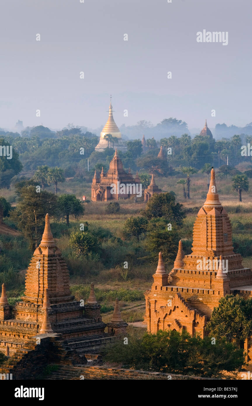 Pagoda field, temples, Zedi, Old Bagan, Pagan, Burma, Myanmar, Asia ...