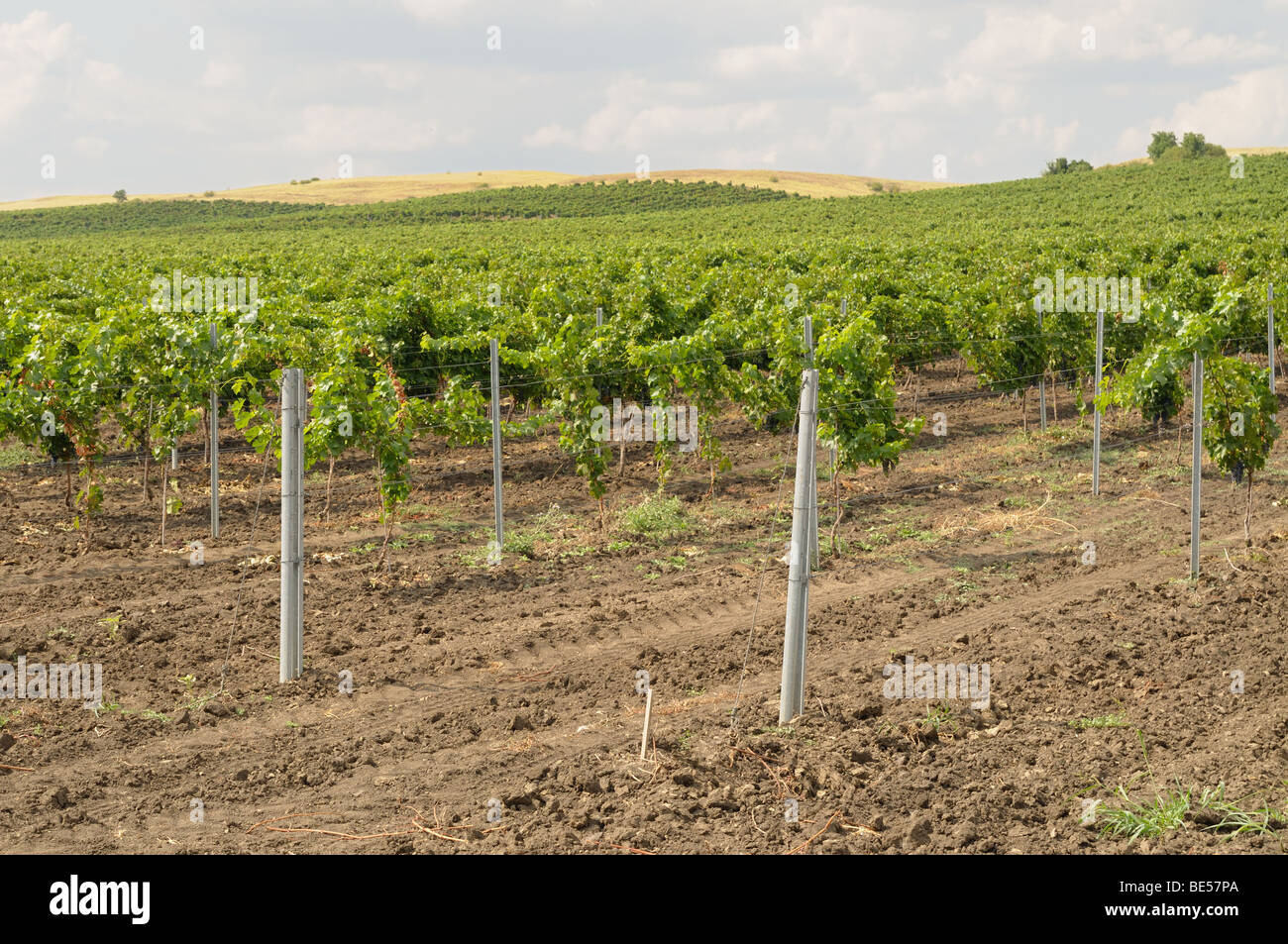 Karnobat hi-res stock photography and images - Alamy