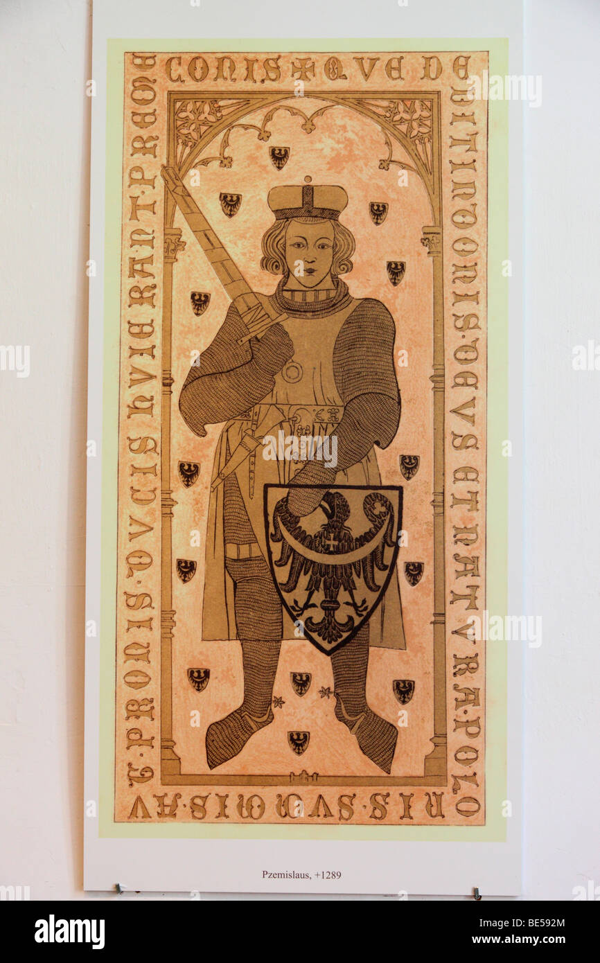 Medieval silesian prince Przemislaus Piast Dynasty Stock Photo - Alamy