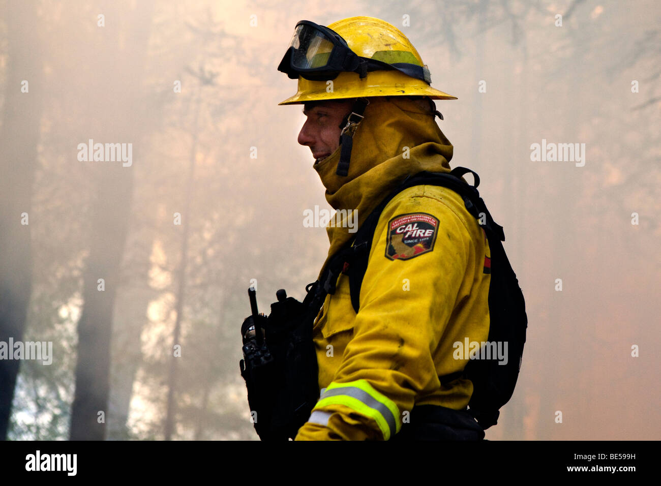 Wildland firefighters at California Lockheed wildfire in Santa Cruz ...