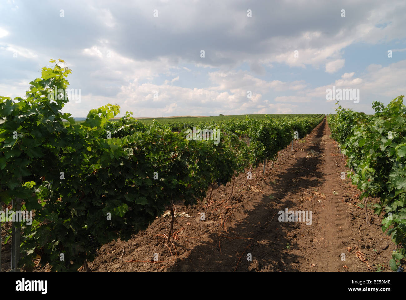 Karnobat hi-res stock photography and images - Alamy