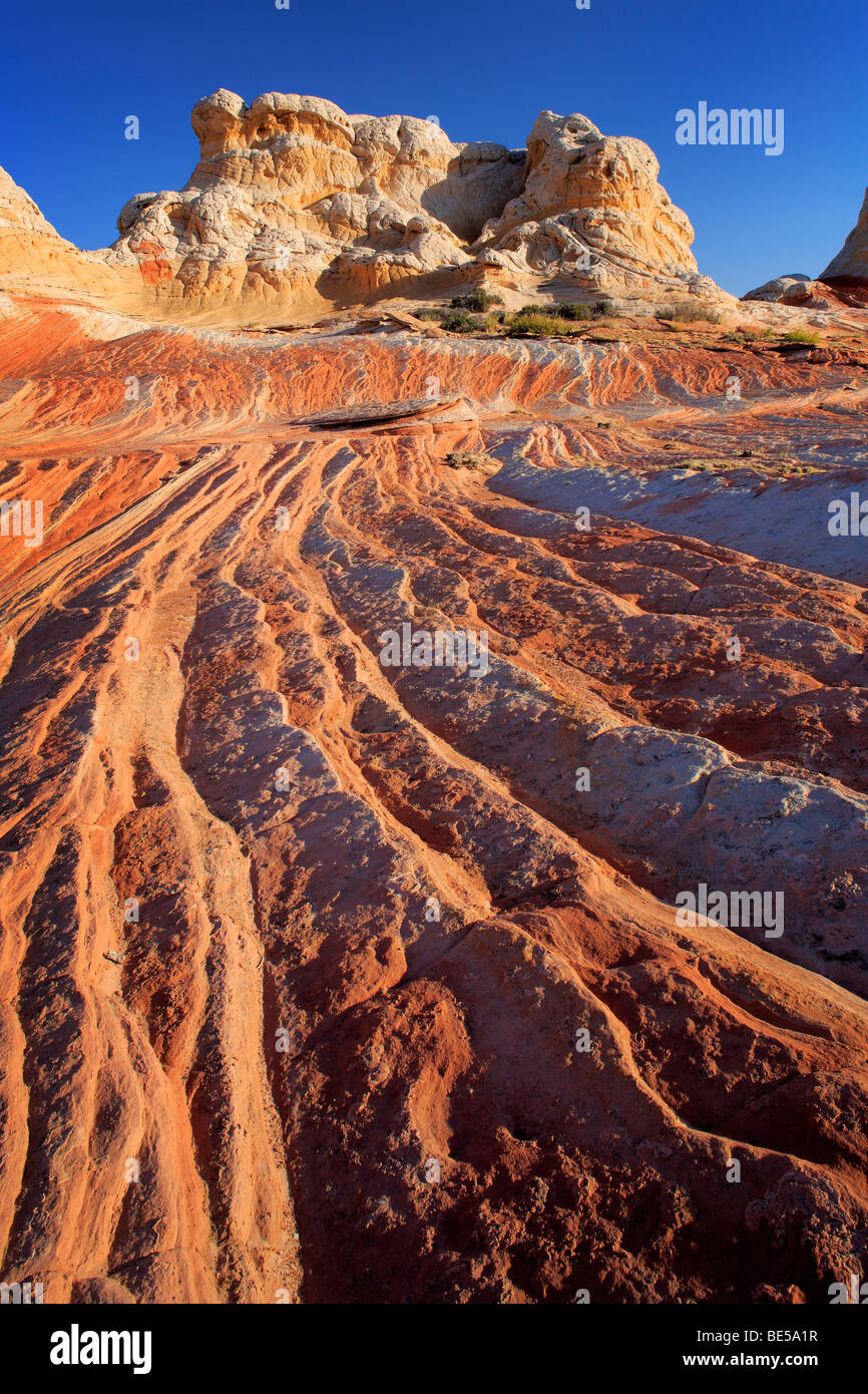 Sandstone ridges at White Pocket in Vermilion Cliffs National Monument ...