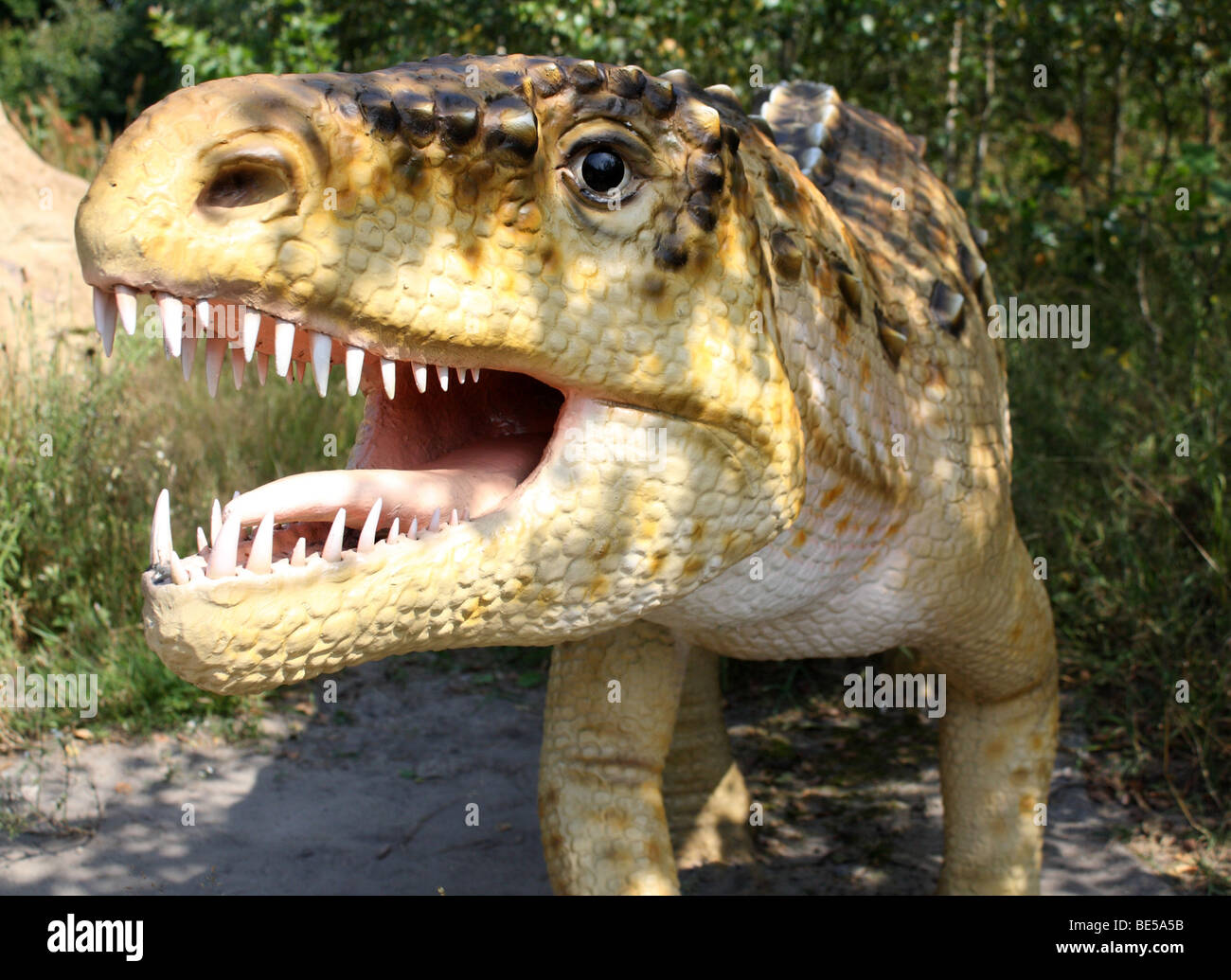Ornithosuchus Meaning Bird Crocodile Is An Extinct Genus Of Crurotarsan From The Late