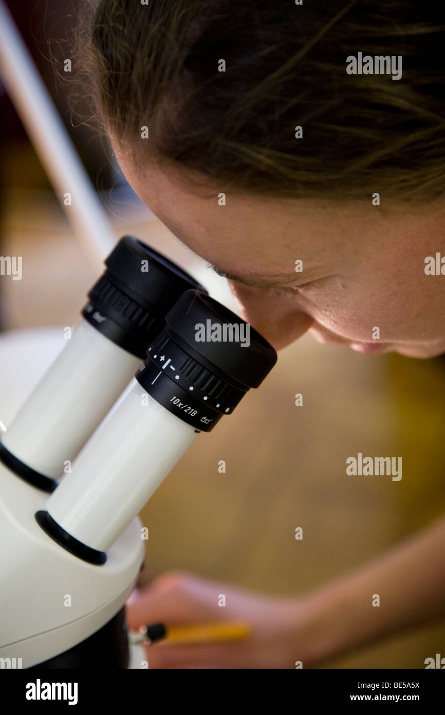 Woman looking through a microscope at a plant sample Stock Photo - Alamy