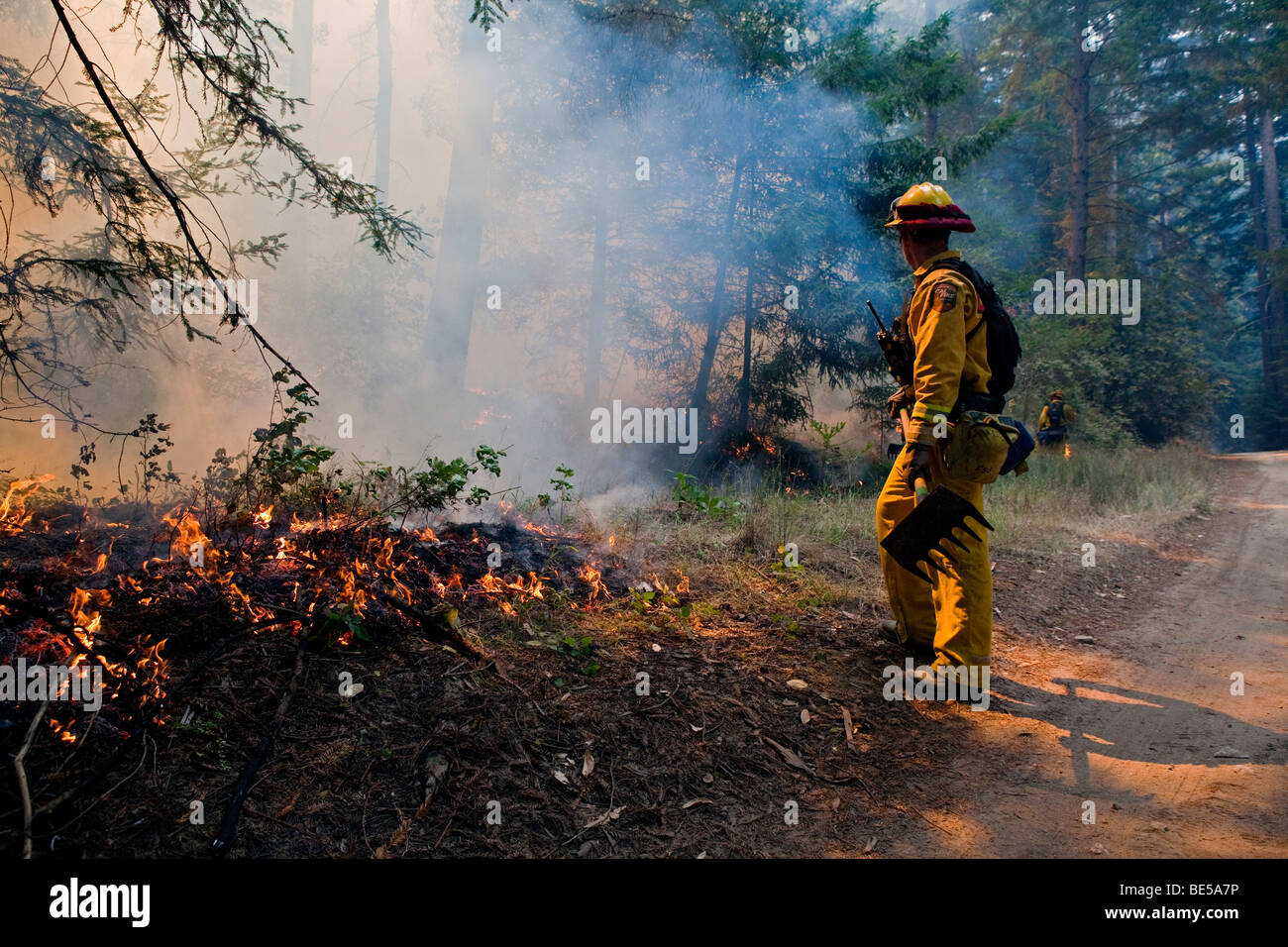Wildland firefighters at California Lockheed wildfire in Santa Cruz ...