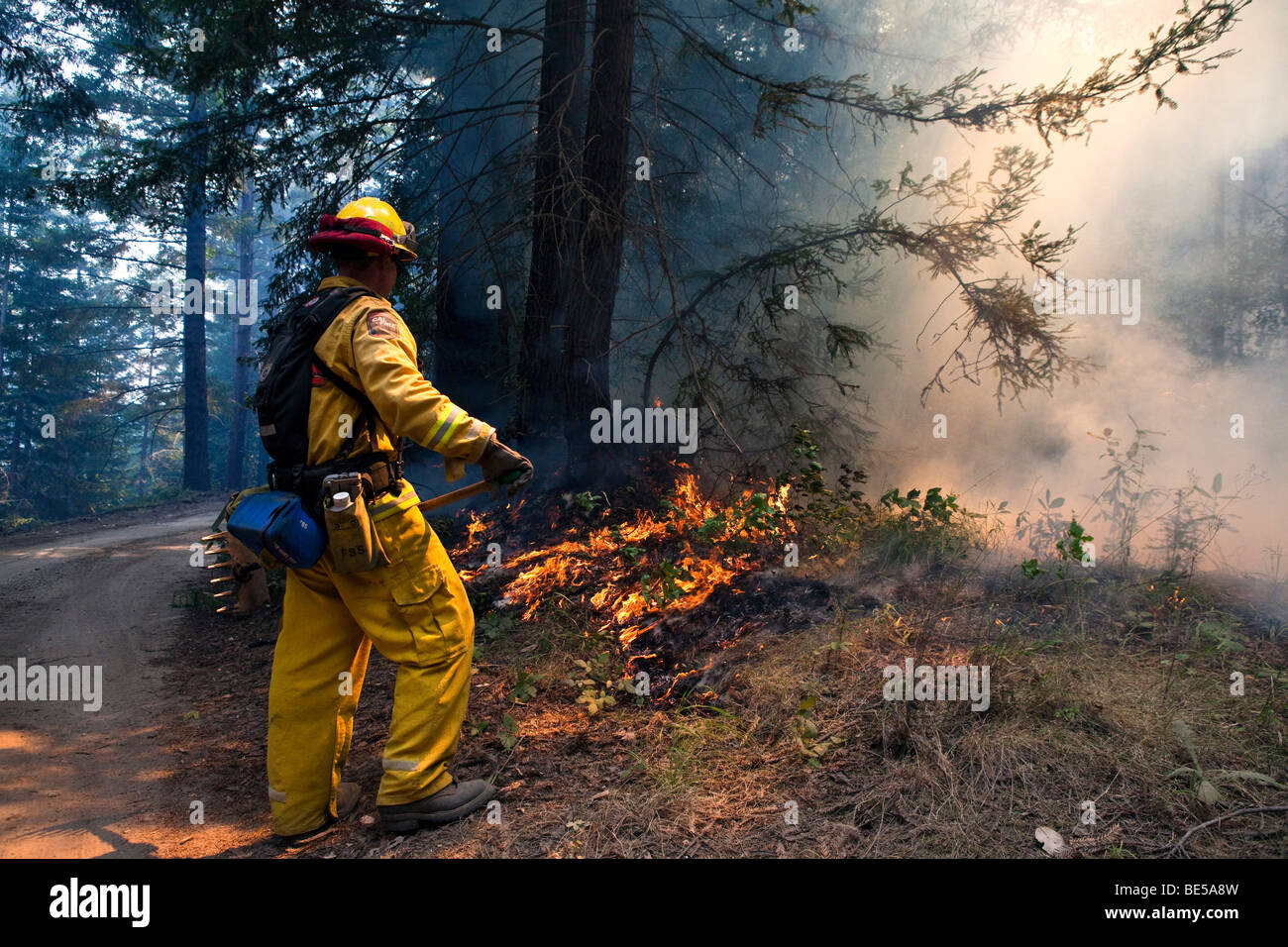 Wildland firefighters at California Lockheed wildfire in Santa Cruz ...