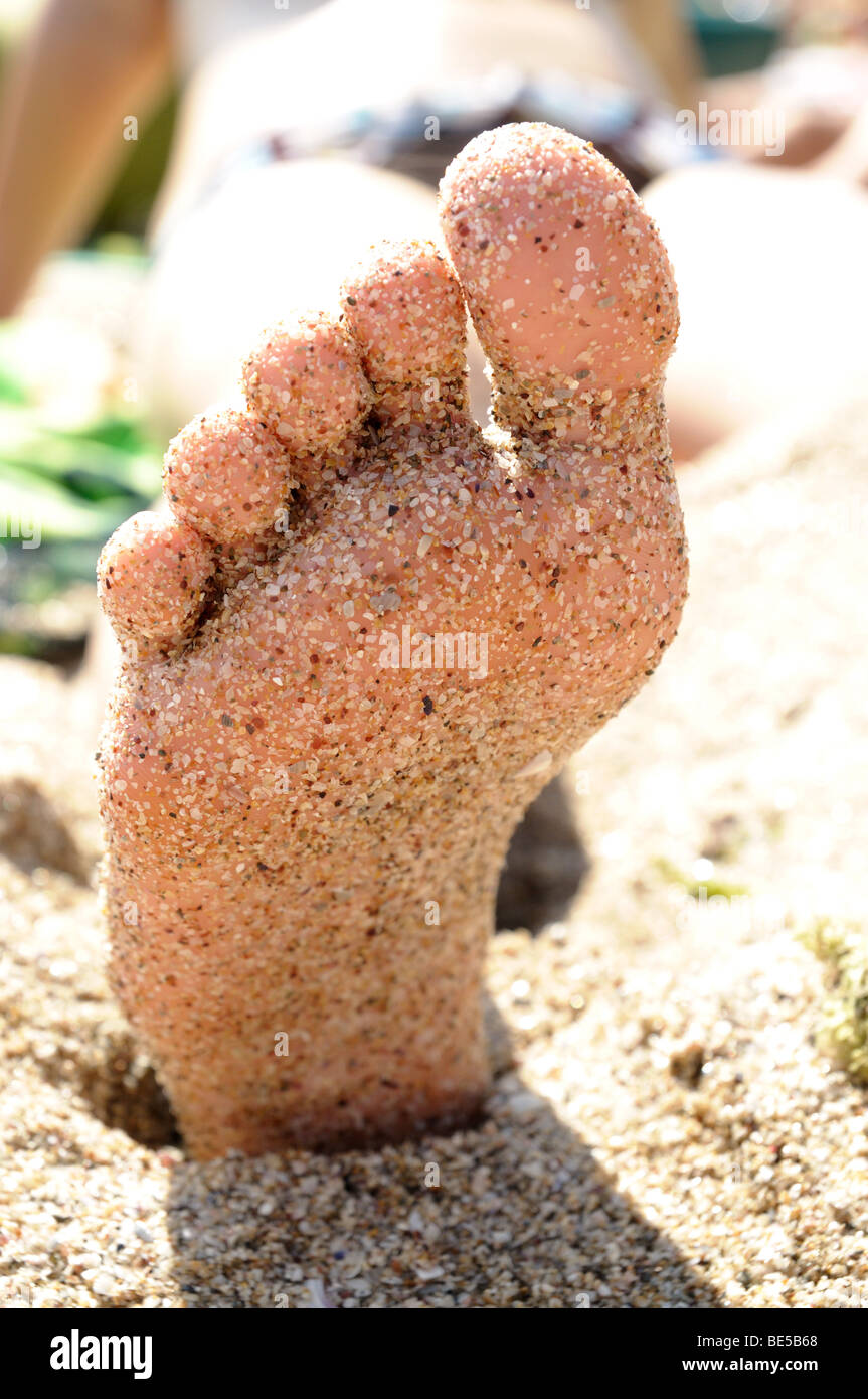 Feet in sand on the beach Stock Photo - Alamy