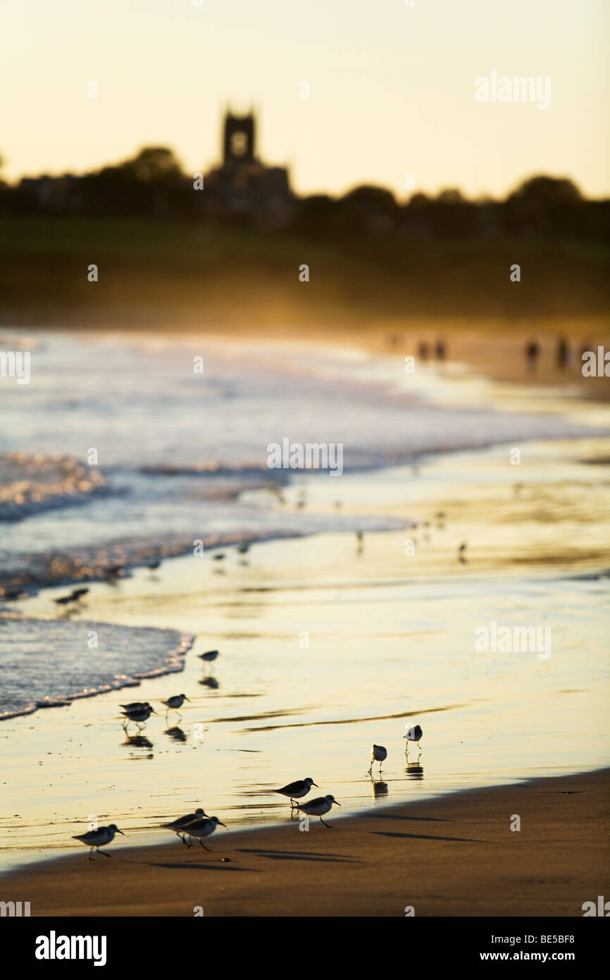 Rhode Island Beach High Resolution Stock Photography and Images - Alamy