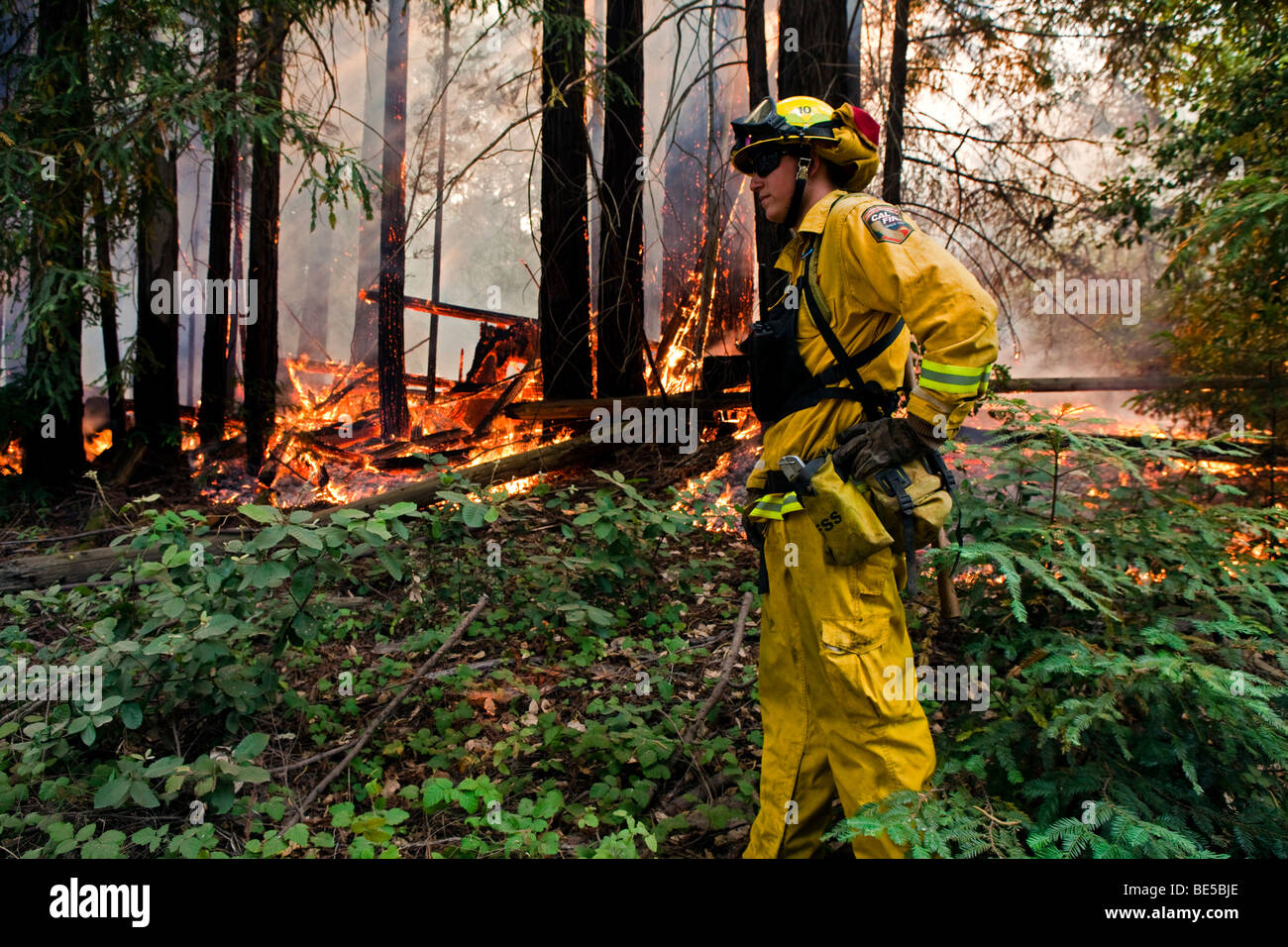 Wildland firefighters at California Lockheed wildfire in Santa Cruz ...