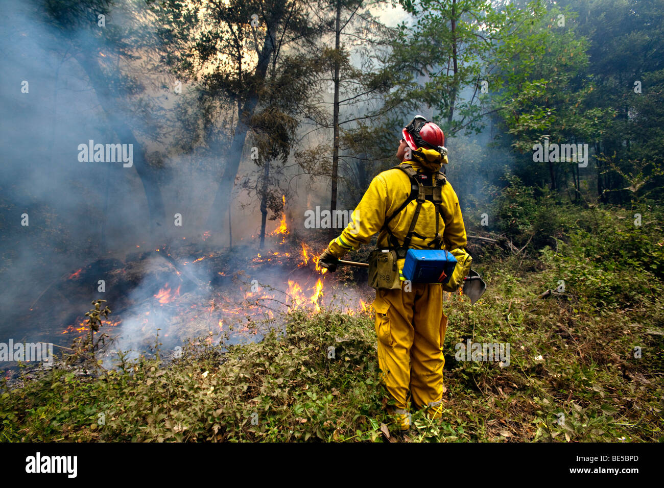 Wildland firefighters at California Lockheed wildfire in Santa Cruz ...
