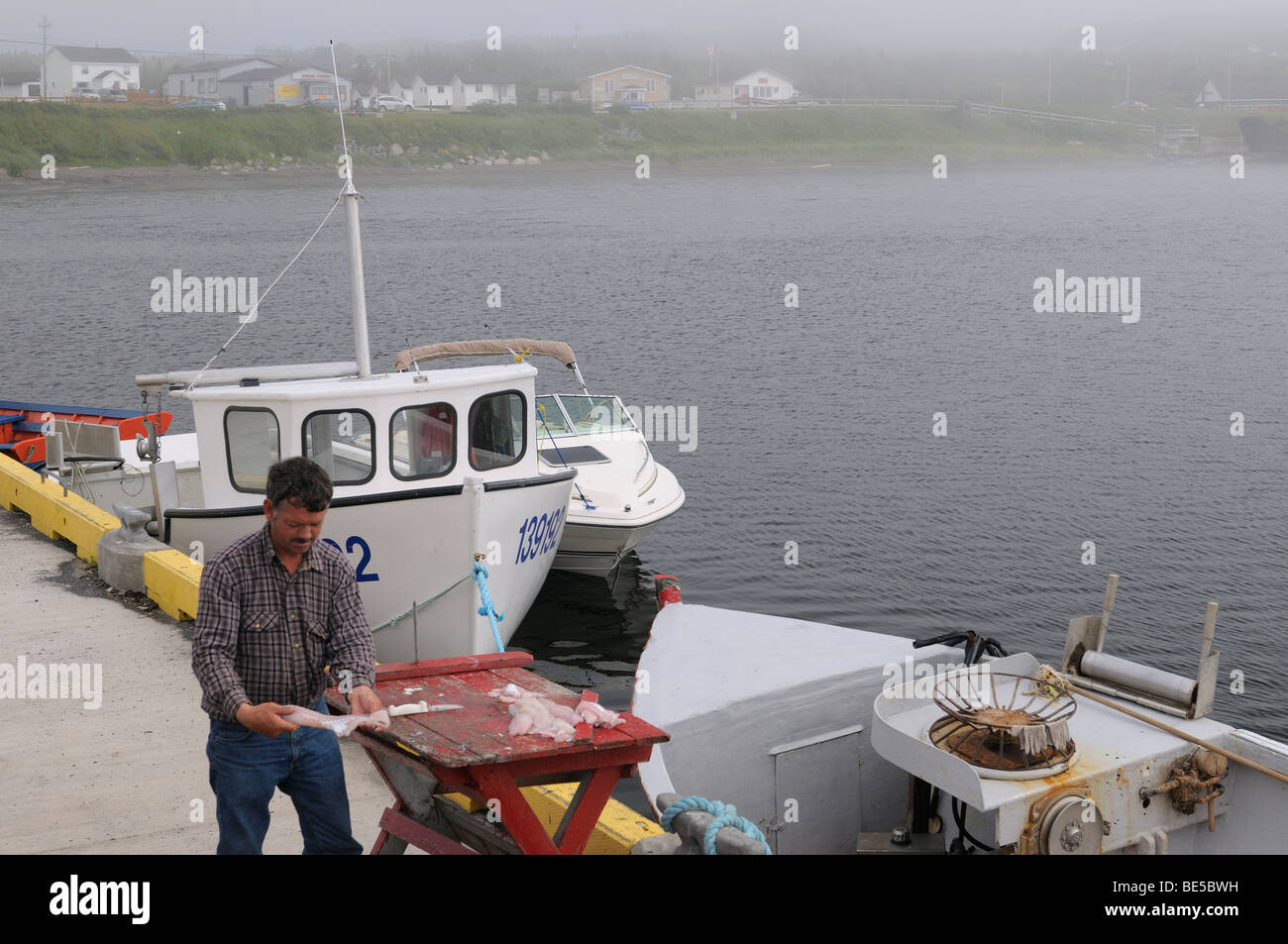 Newfoundland cod fishing hi-res stock photography and images - Alamy