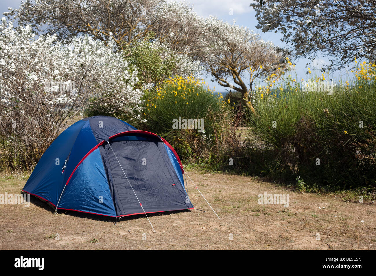 Capsite hi-res stock photography and images - Alamy