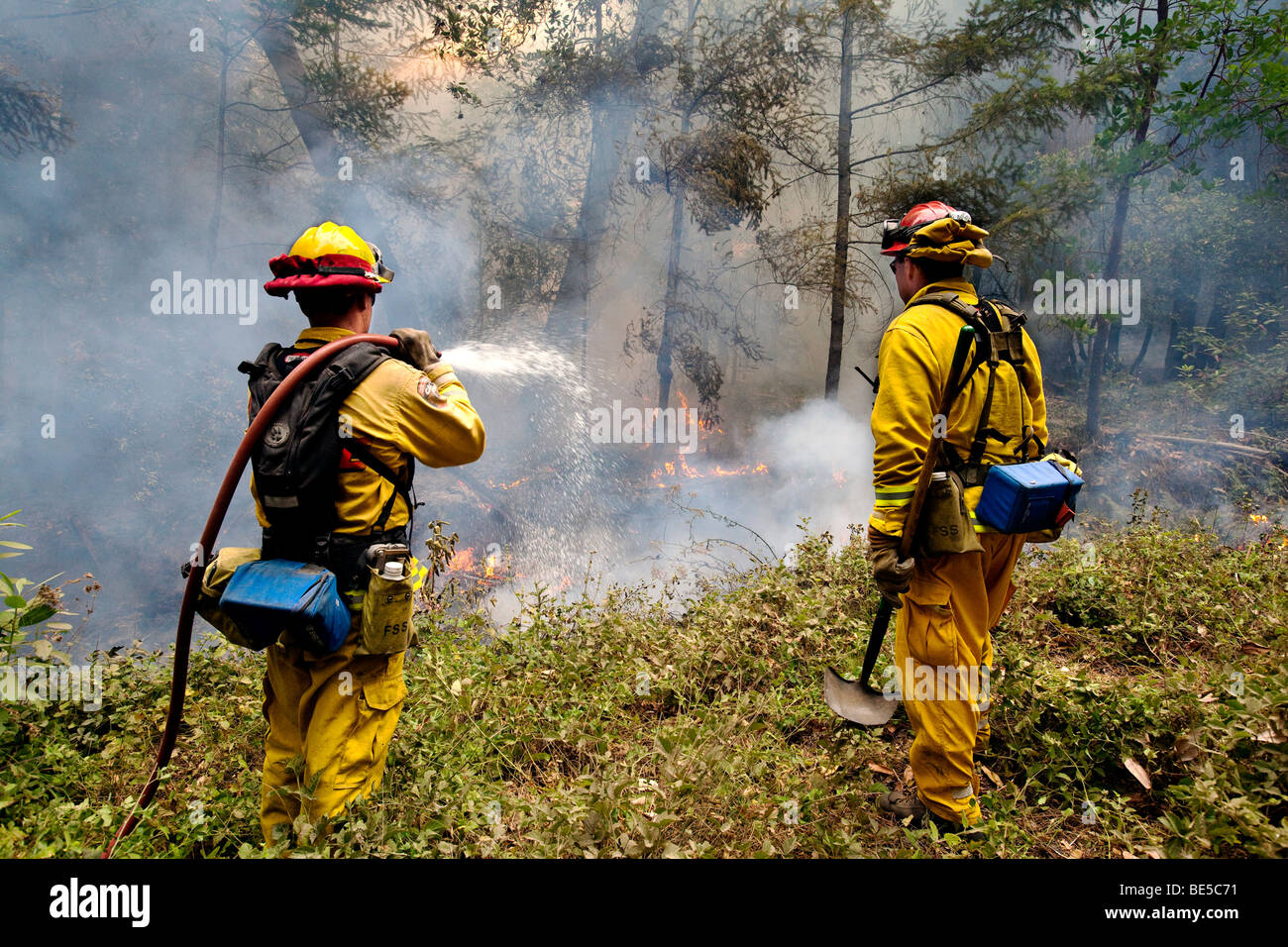 Wildland firefighters at California Lockheed wildfire in Santa Cruz ...