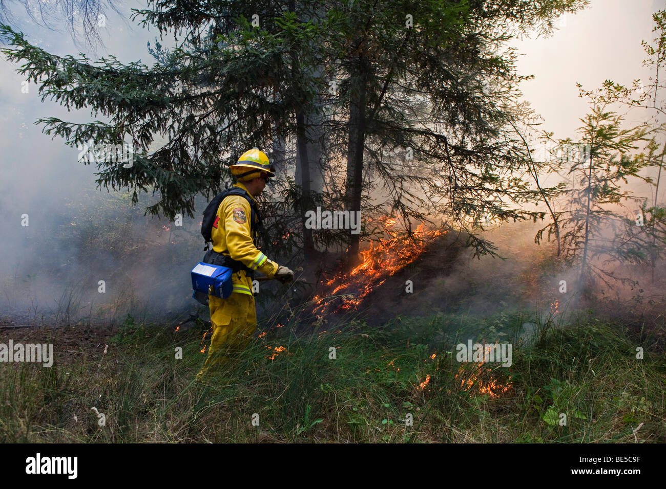 Wildland firefighters at California Lockheed wildfire in Santa Cruz ...