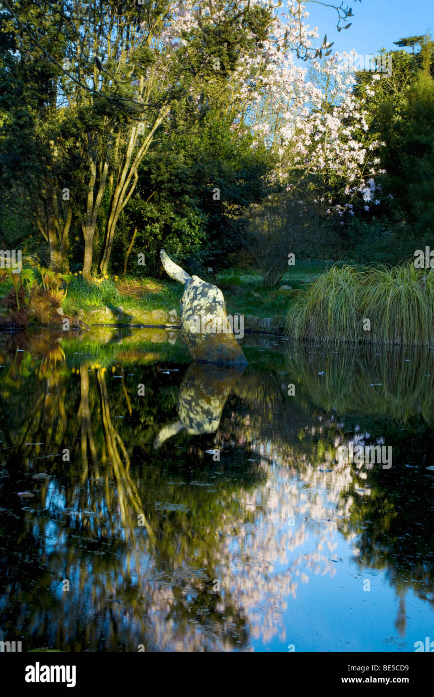 trewidden garden; cornwall; spring Stock Photo - Alamy