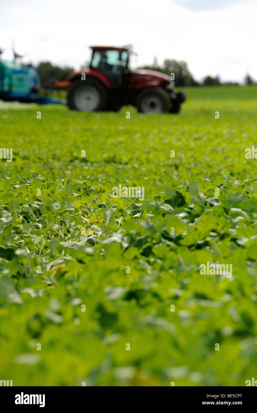 Spraying farm field with liquid manure hi-res stock photography and ...