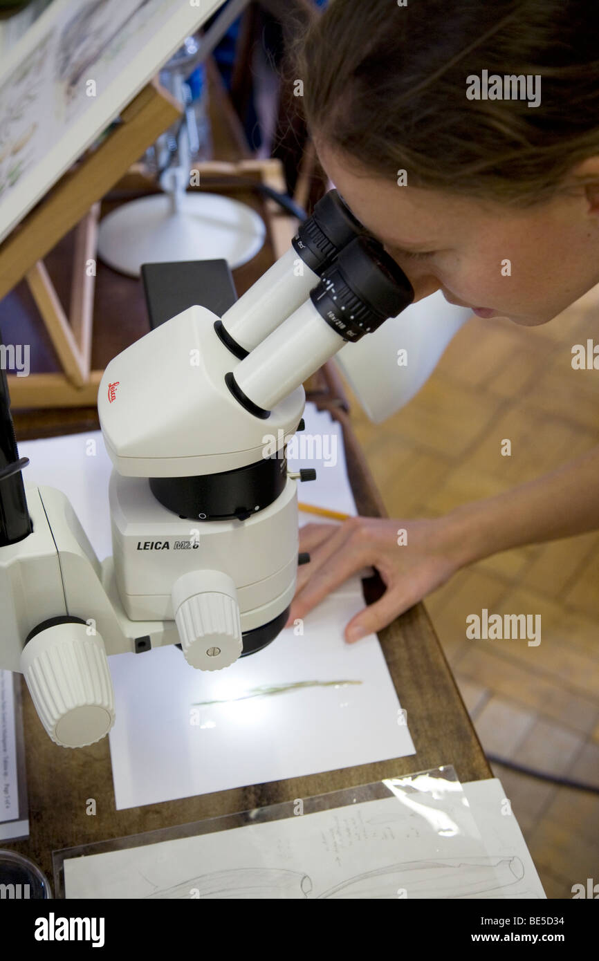 Woman looking through a microscope at a plant sample Stock Photo - Alamy