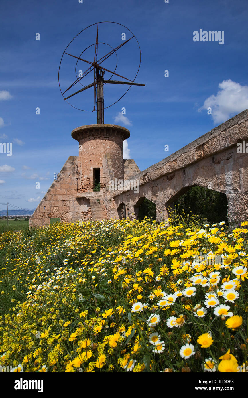 Irrigation windmill hi-res stock photography and images - Alamy