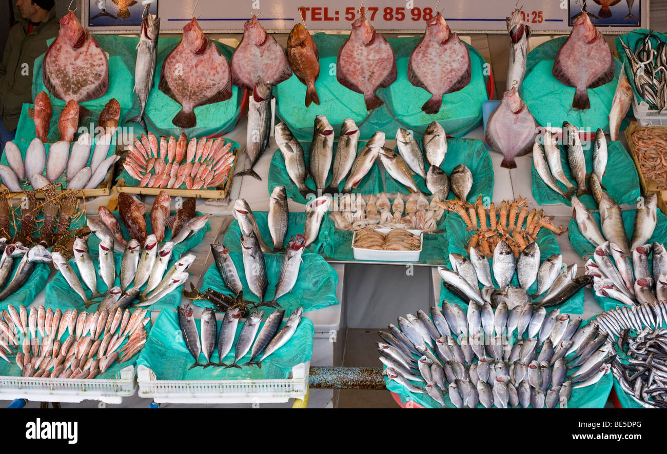 Display of fresh fish hi-res stock photography and images - Alamy