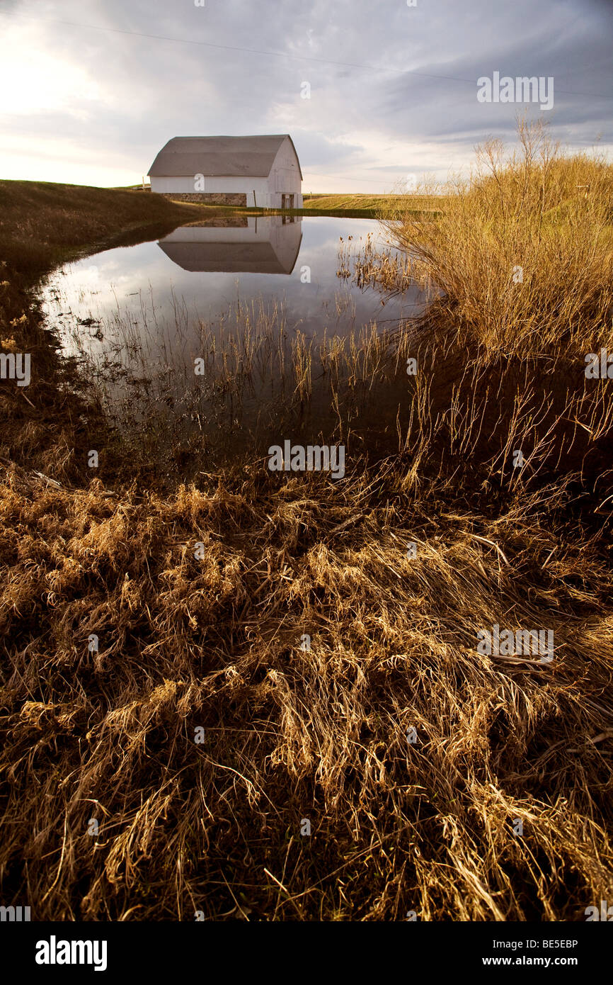 Old Barn and Dugout marsh Canada Stock Photo - Alamy