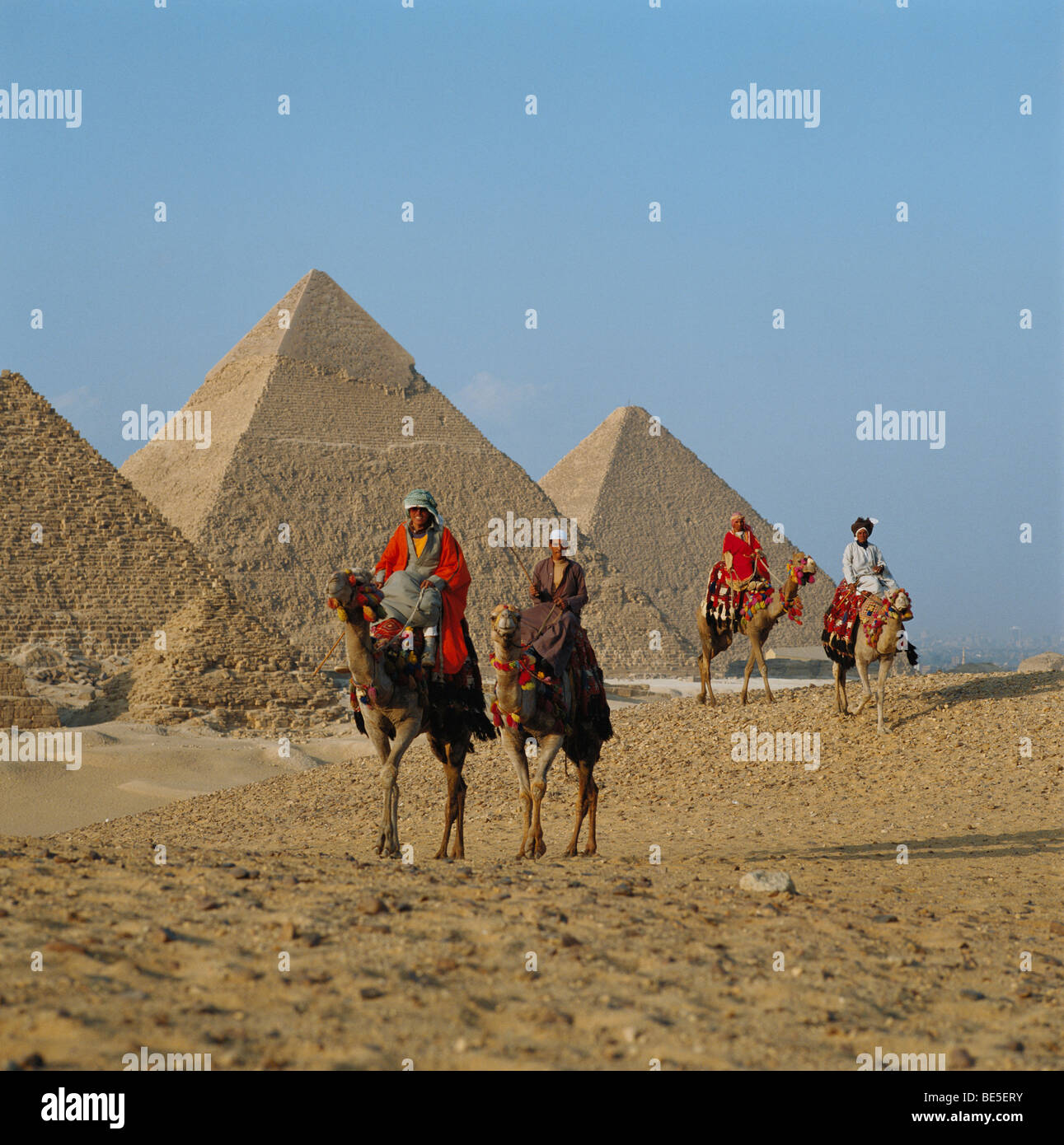 Camel riders in front of the Pyramids, Giza, Cairo, Egypt, North Africa ...