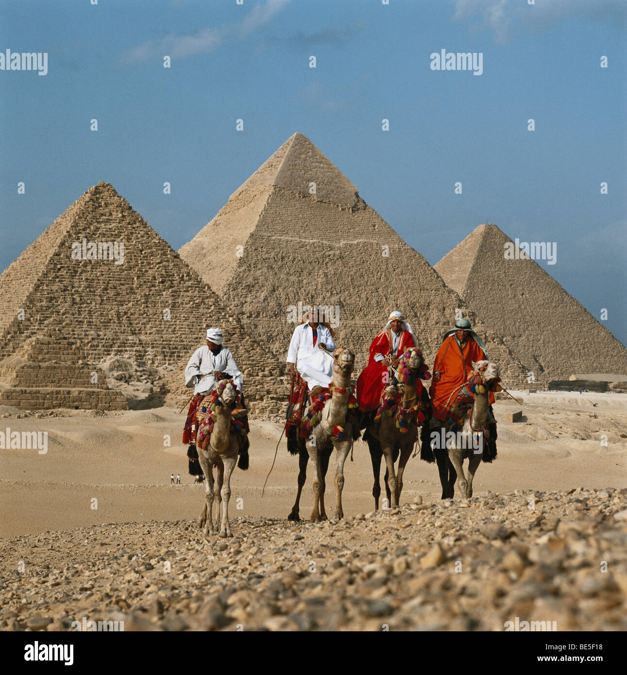 Camel team hi-res stock photography and images - Alamy