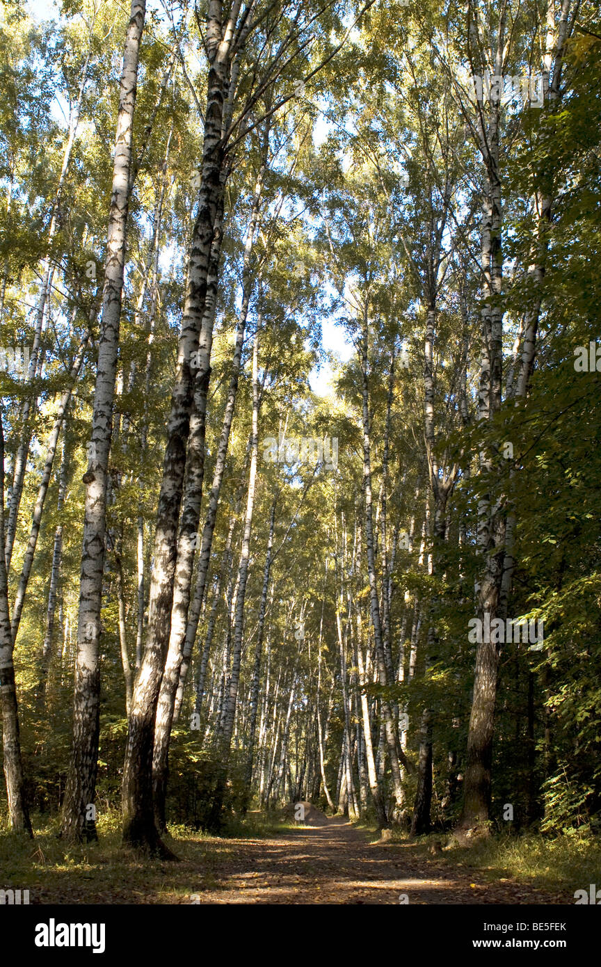 Moscow park hi-res stock photography and images - Alamy