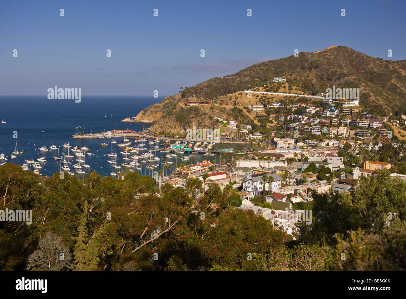 AVALON, CA, USA - Harbor and town of Avalon, Santa Catalina Island ...