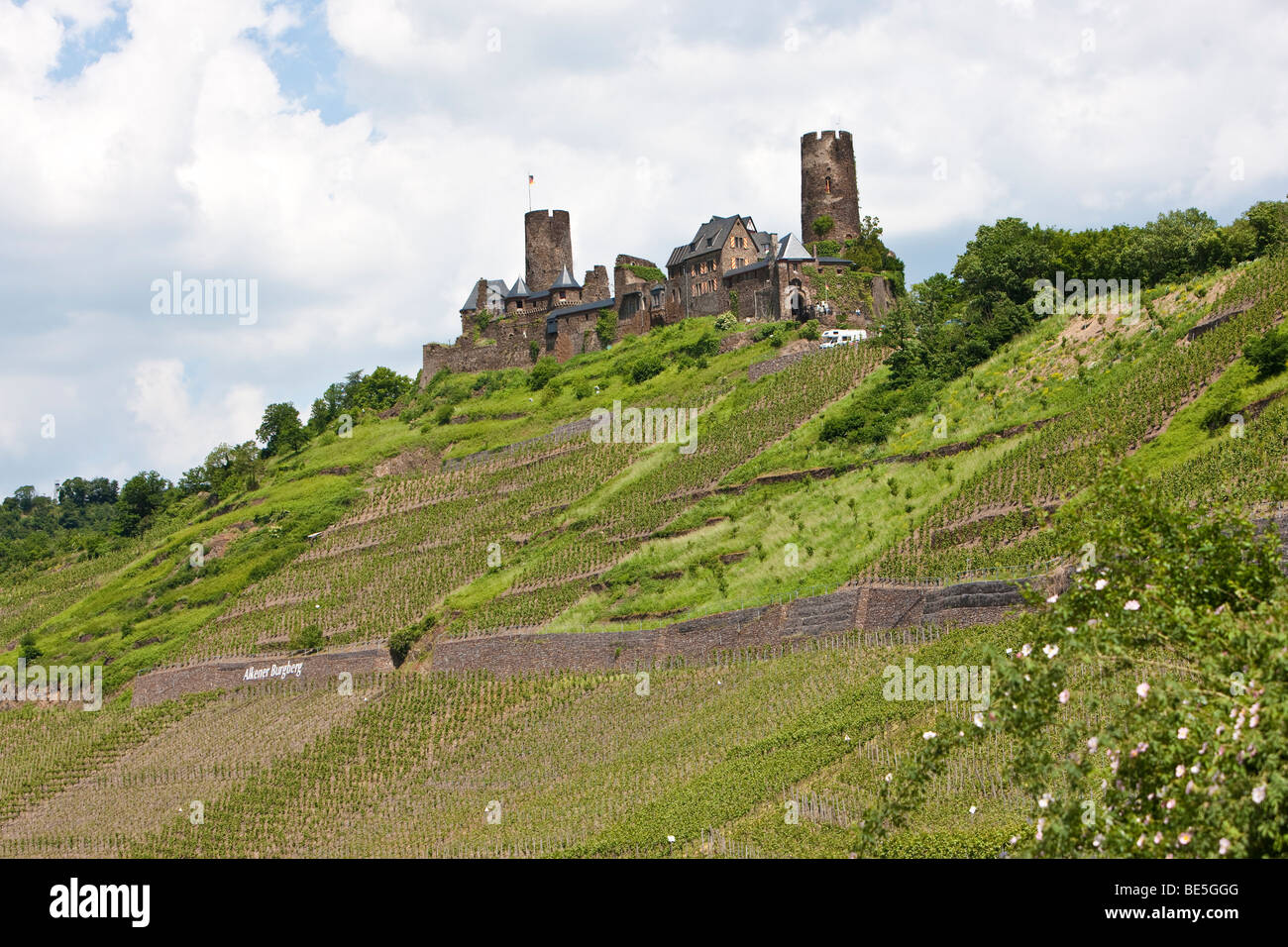 View of the Burg Thurant castle near the Mosel town of Alken, Alken ...