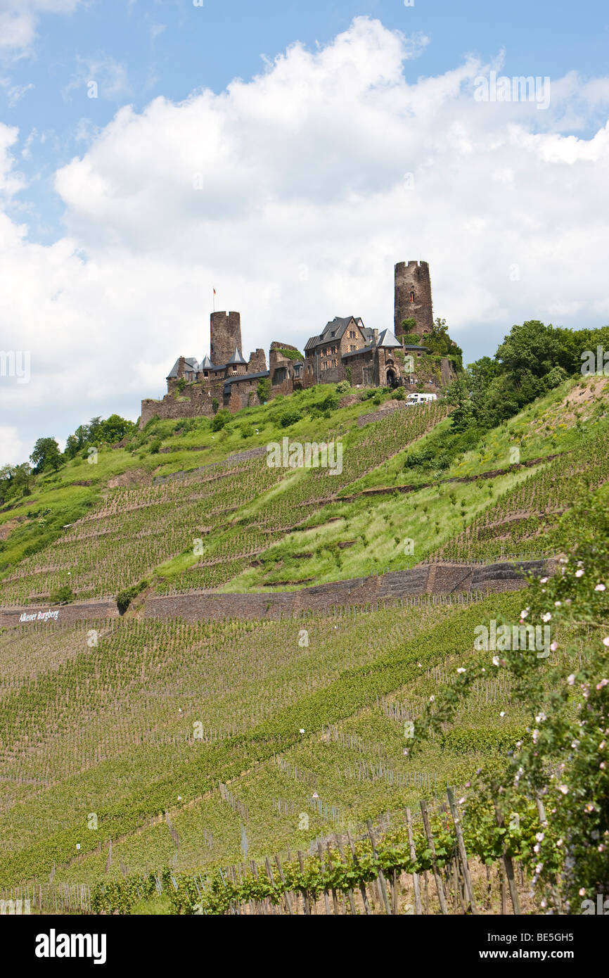 View of the Burg Thurant castle near the Mosel town of Alken, Alken ...
