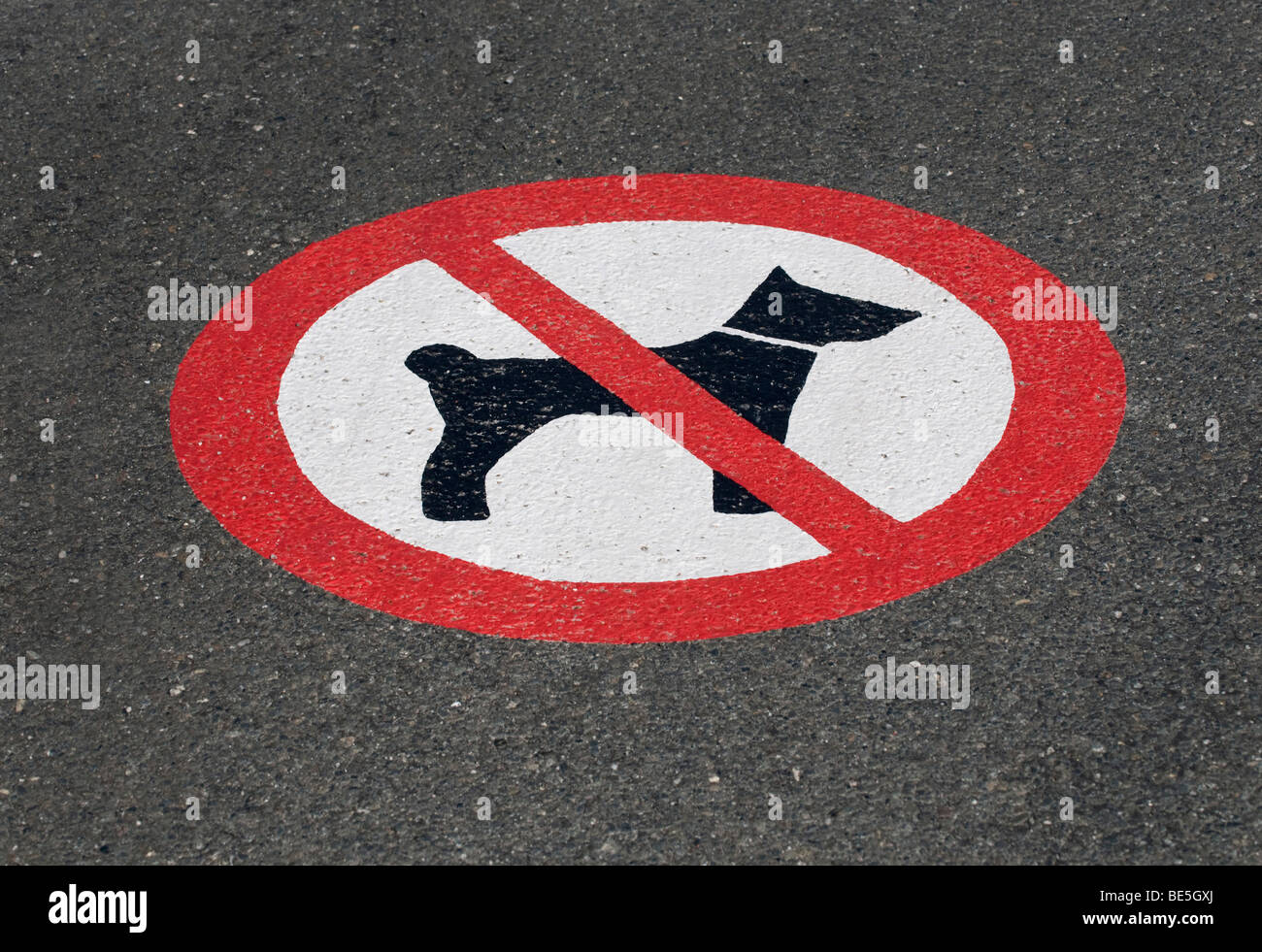 No dogs allowed signs hi-res stock photography and images - Alamy