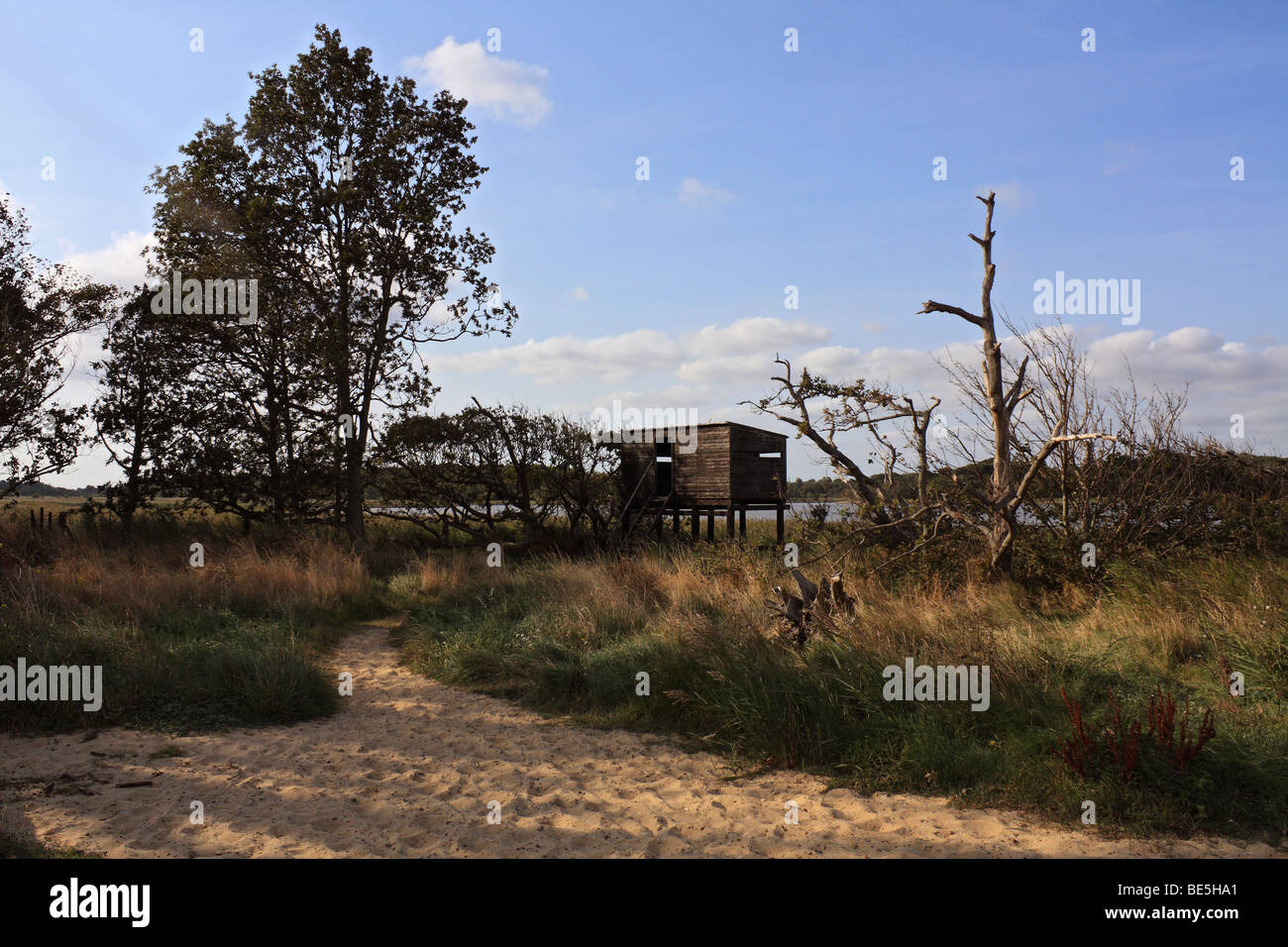 The National Nature Reserve Benacre near Southwold, Suffolk, England ...