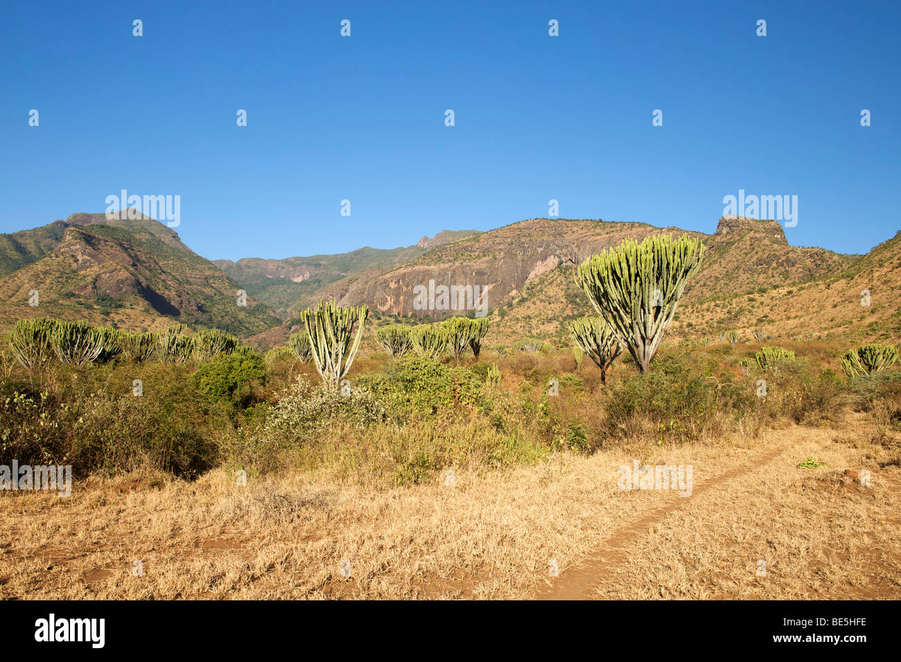 African landscape in uganda hi-res stock photography and images - Alamy