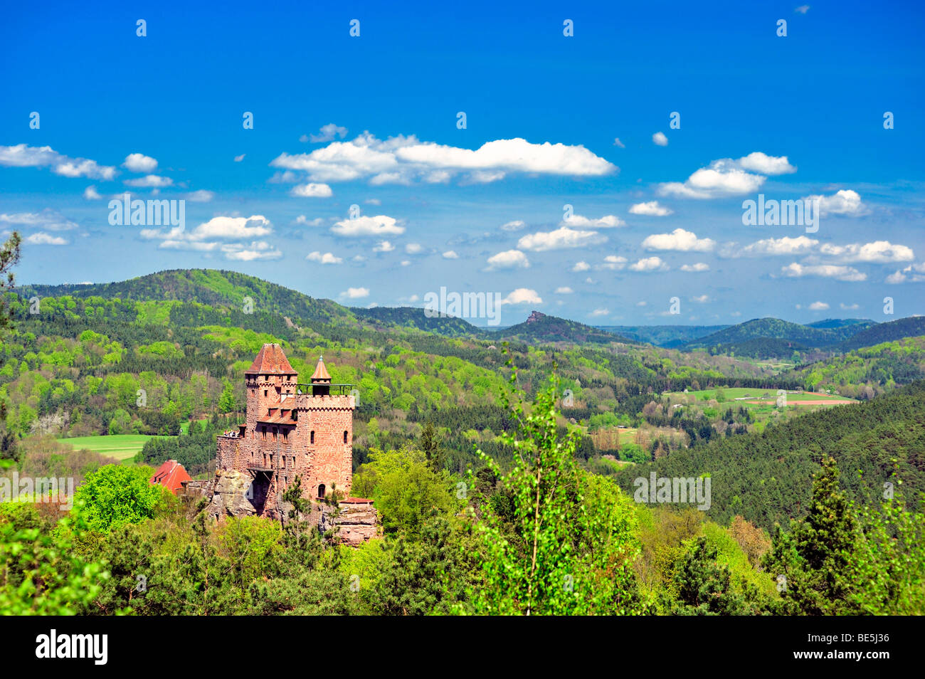 Burg Berwartstein castle, Erlenbach, Naturpark Pfaelzerwald nature ...