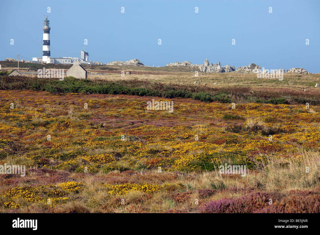 creac'h lighthouse in flowered moor, ouessant island,brittany, france ...
