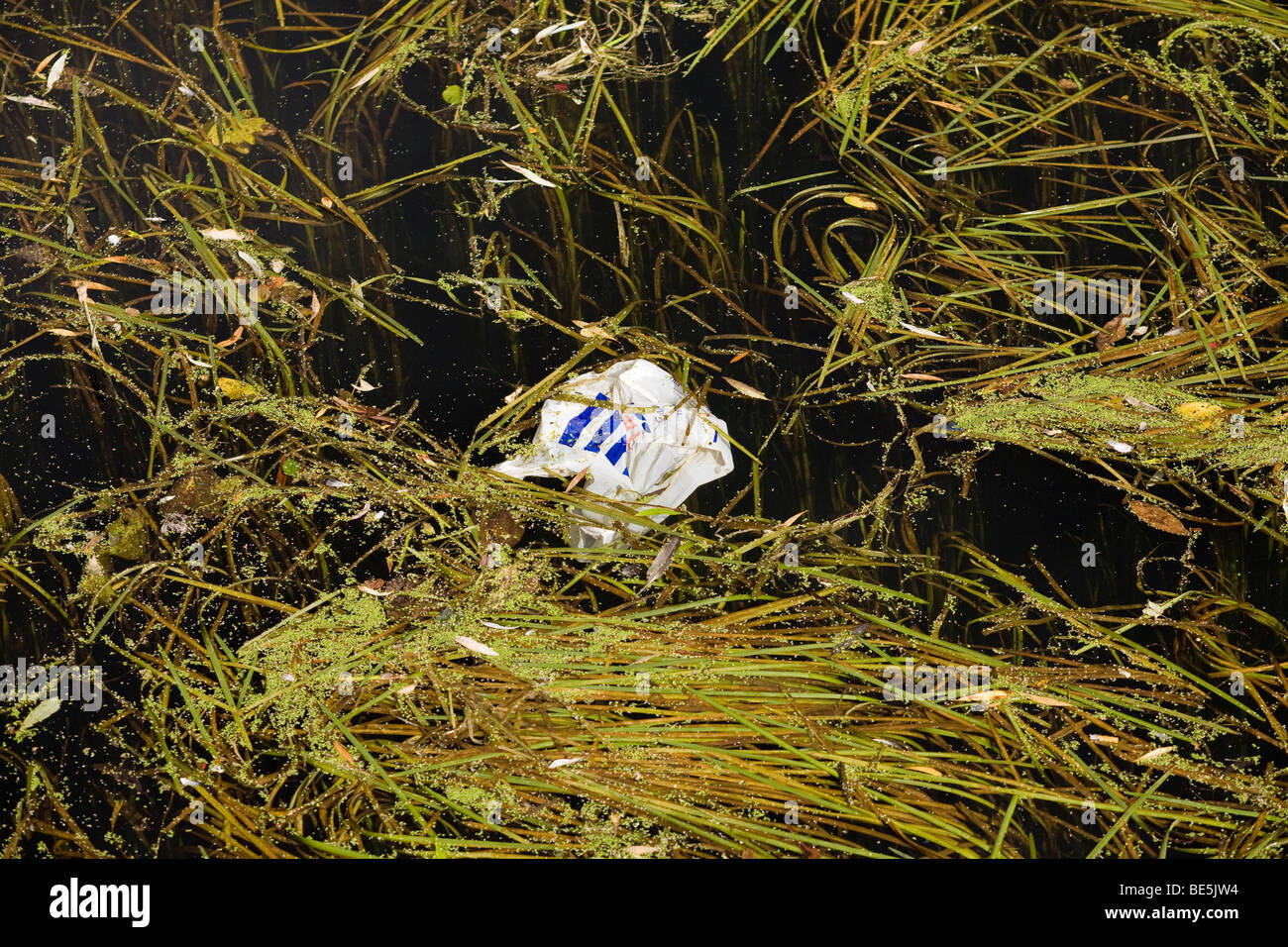 Plastic bag river hi-res stock photography and images - Alamy
