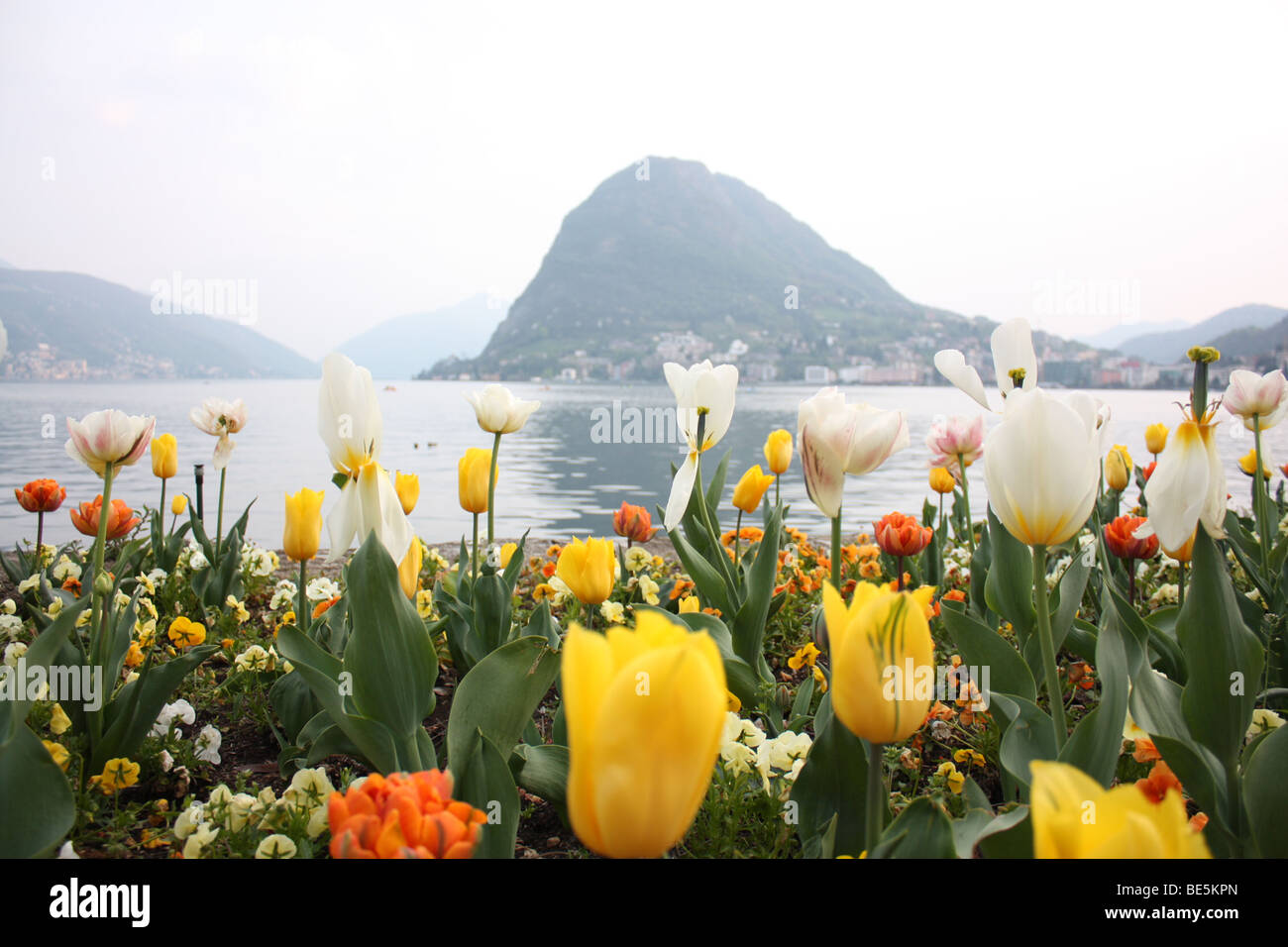 Lugano suisse hi-res stock photography and images - Alamy