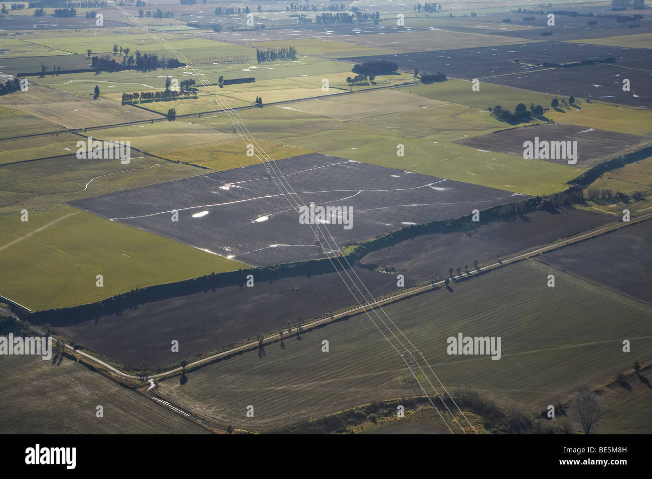 Timaru new zealand farm hi-res stock photography and images - Alamy