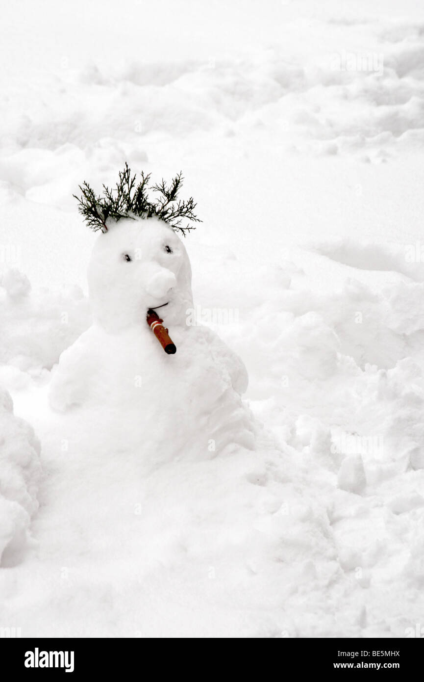 With small cigar hi-res stock photography and images - Alamy