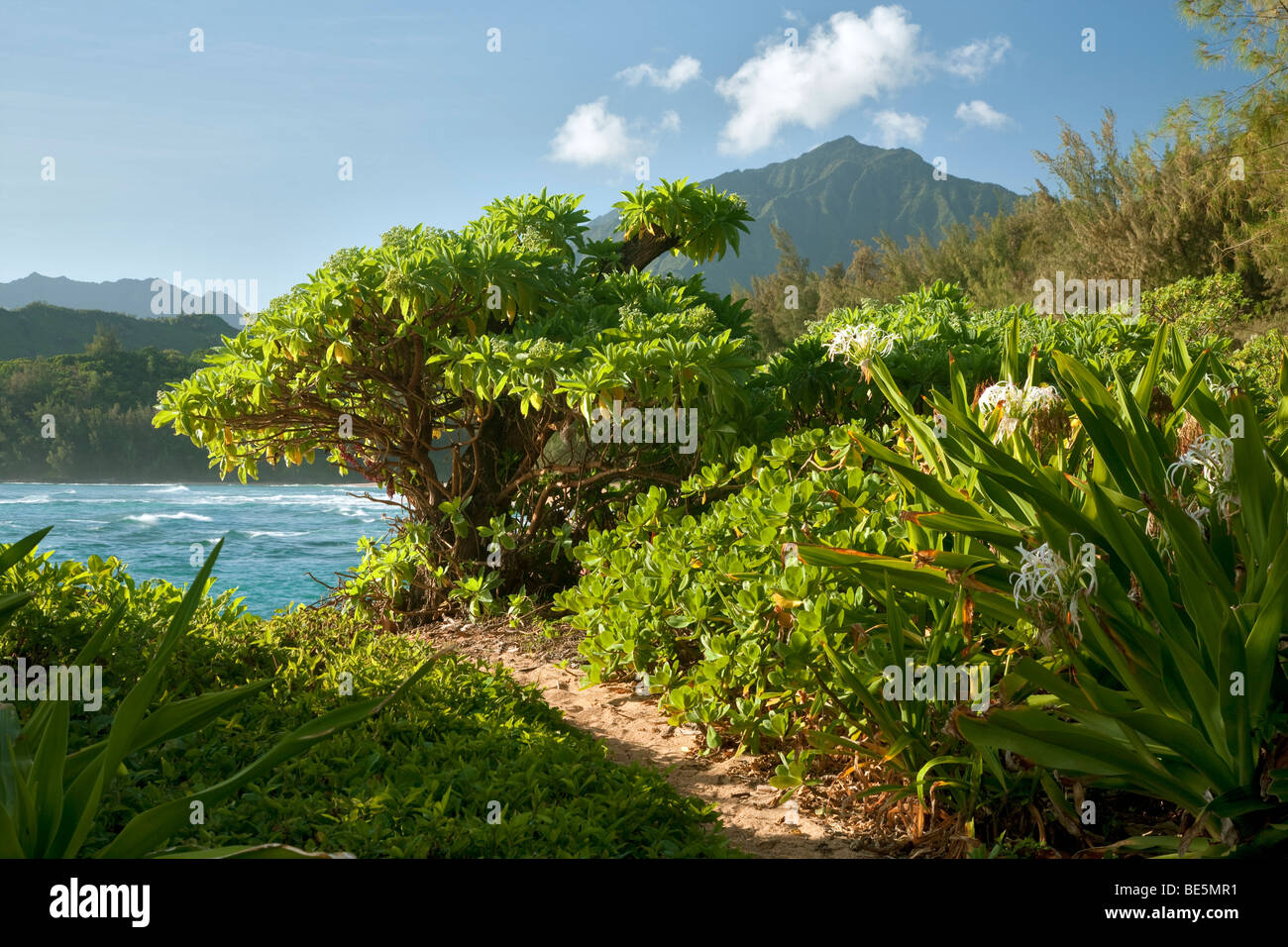 Ocean pathway hi-res stock photography and images - Alamy