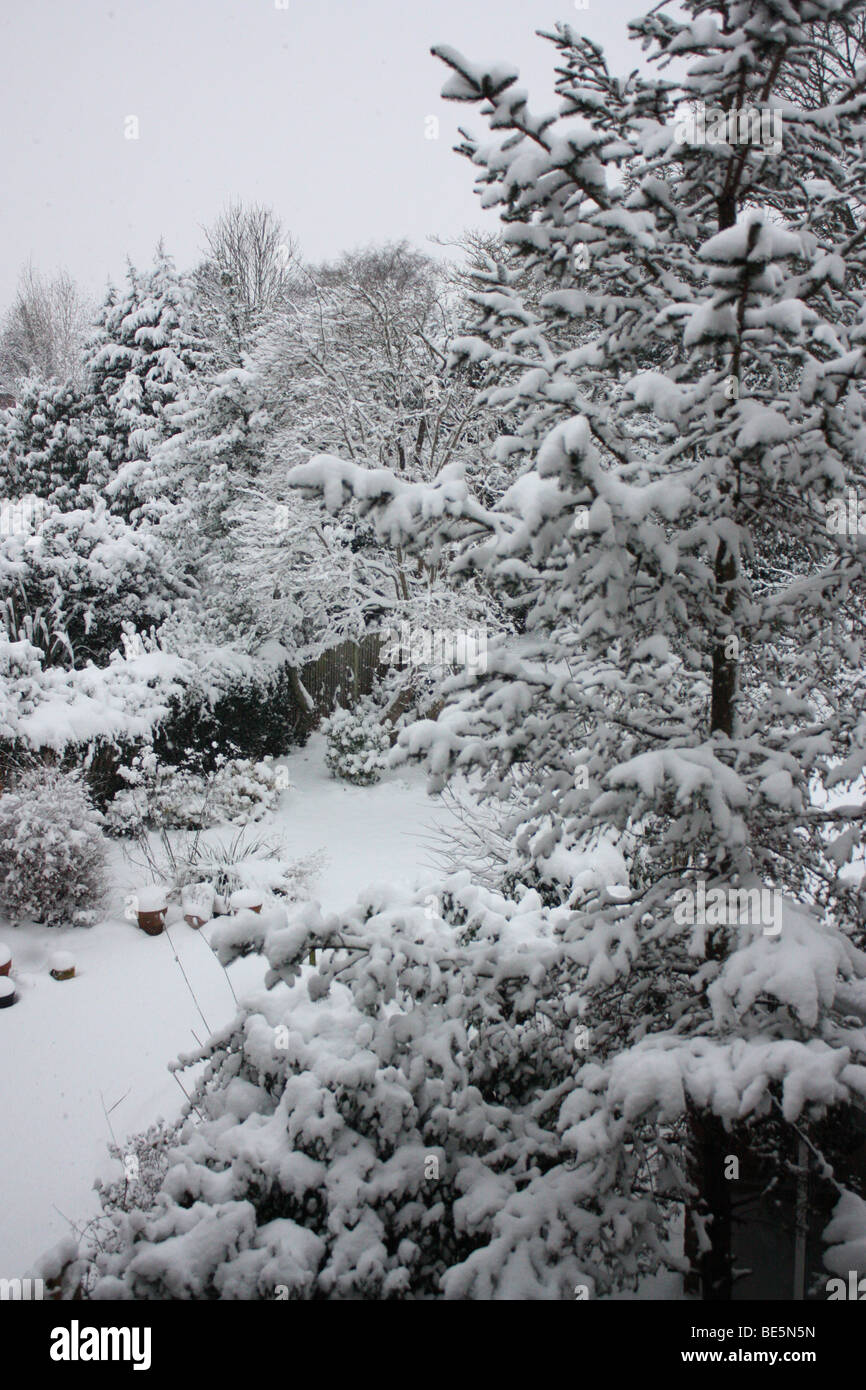 Cool snow hi-res stock photography and images - Alamy