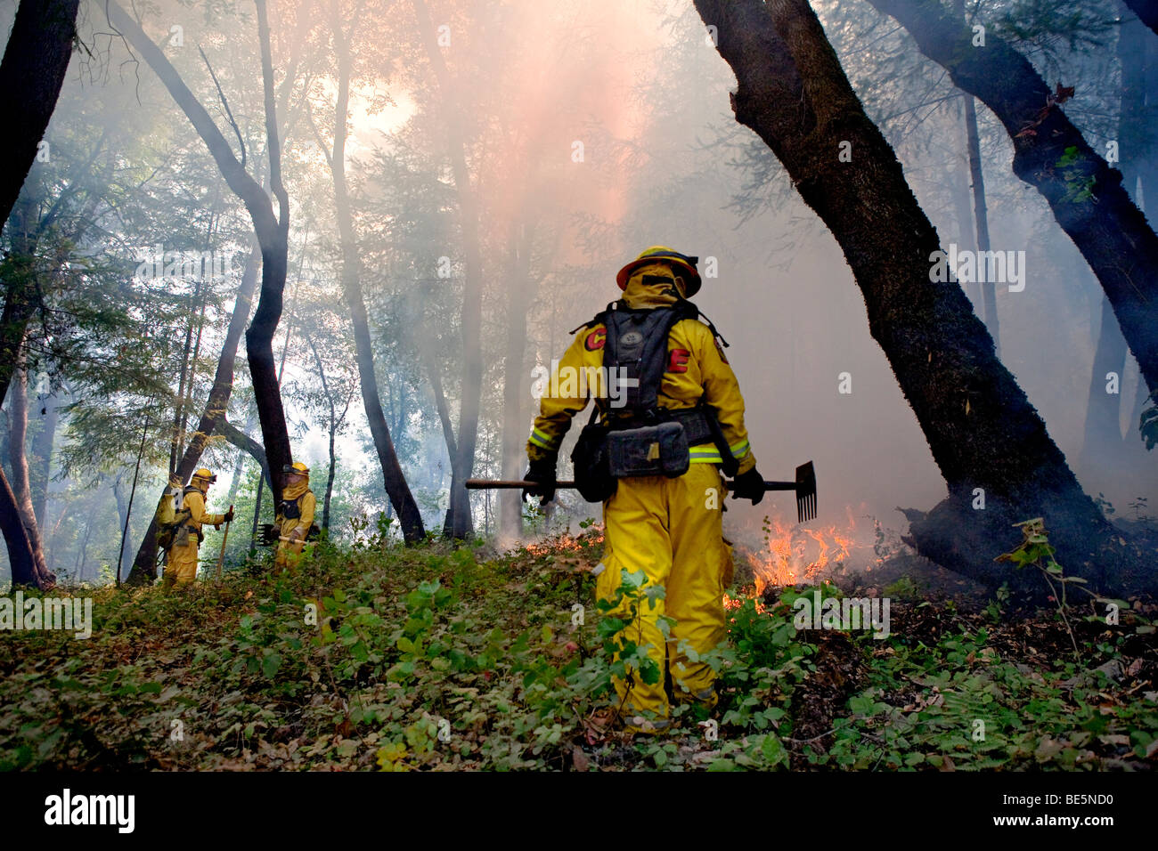 Wildland firefighters at California Lockheed wildfire in Santa Cruz ...