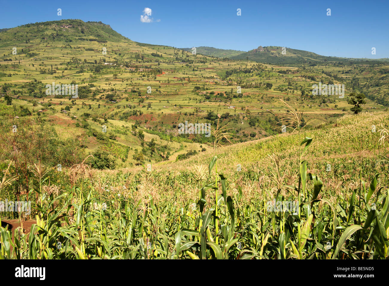 Mt elgon hi-res stock photography and images - Alamy