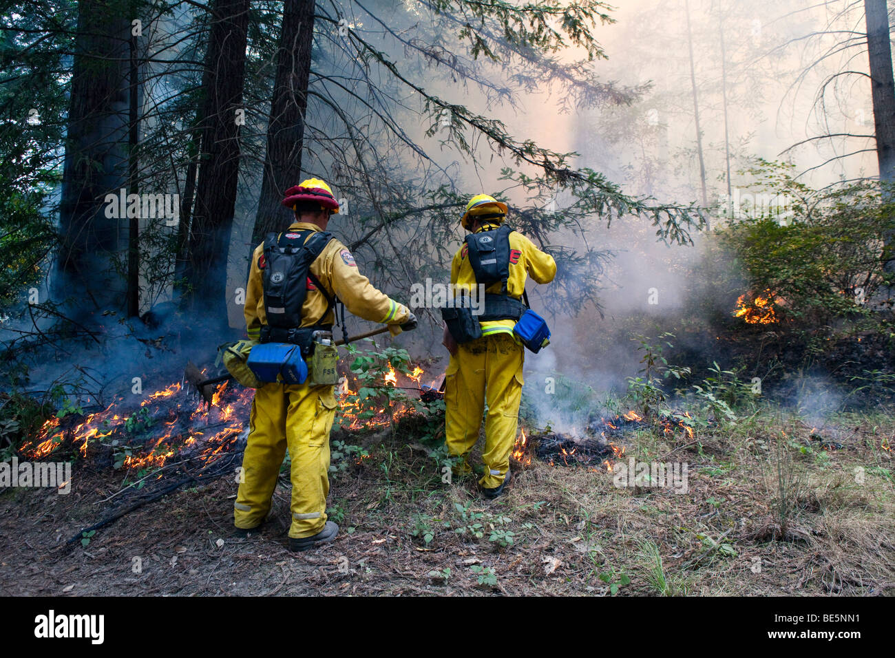 Wildland firefighters at California Lockheed wildfire in Santa Cruz ...